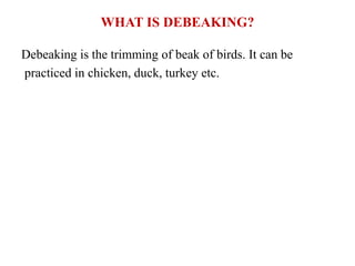 Debeaking in chicken,live stock production management.pptx
