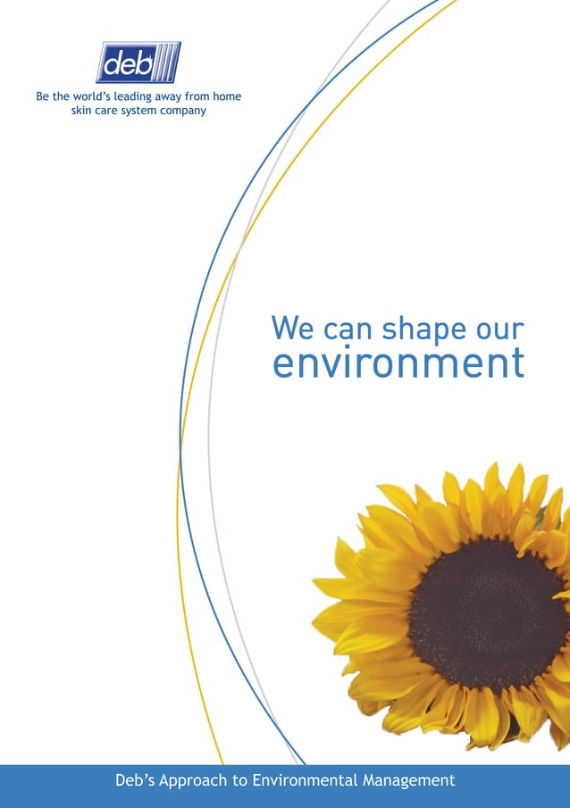 Deb's Approach to Environmental Management | PDF