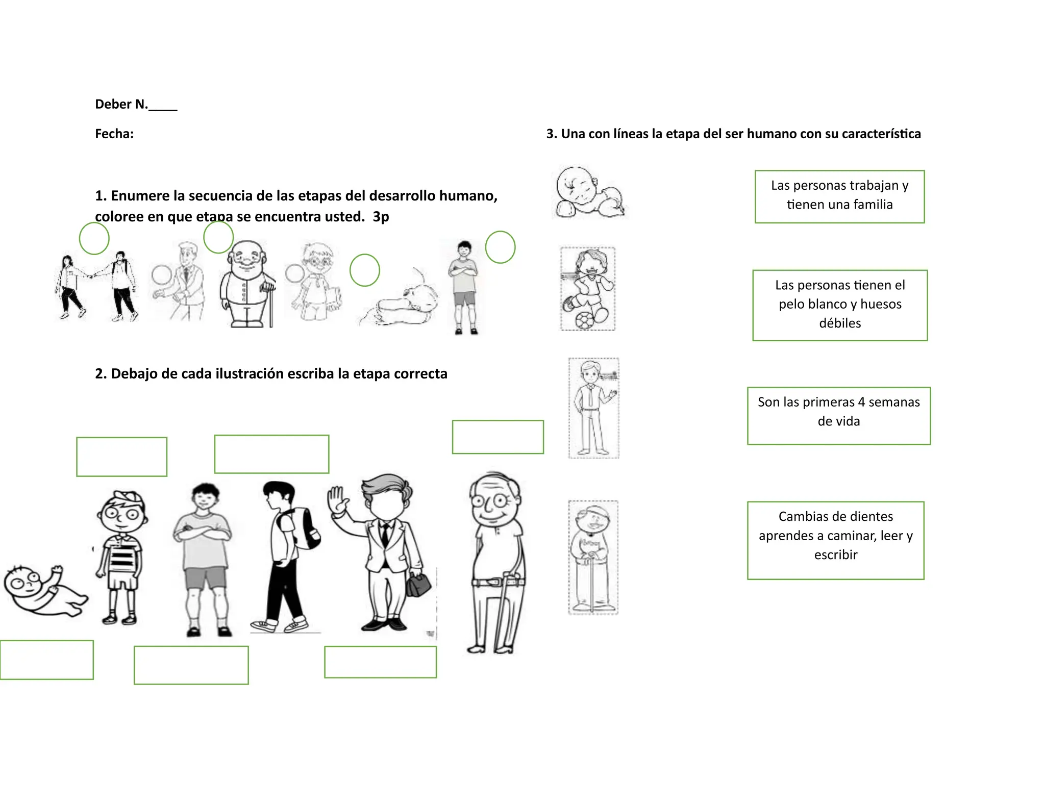 Deber N etapas del ser humano material didactico.docx