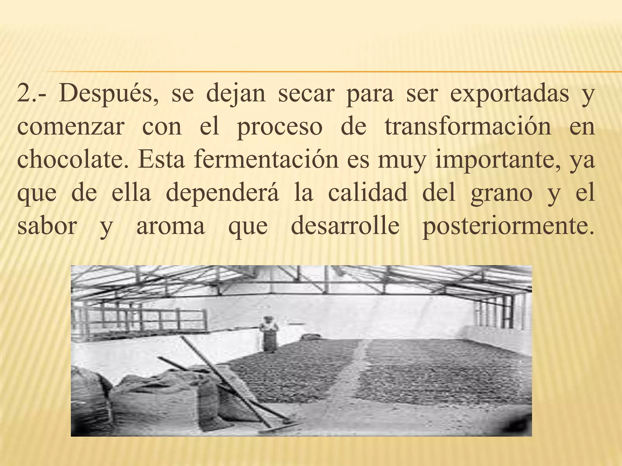 Elaboración de chocolate | PPTX