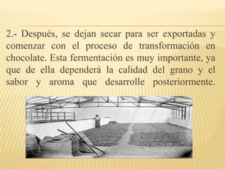 Elaboración de chocolate | PPTX