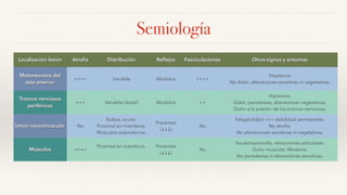 Debilidad de miembros inferiores | PDF