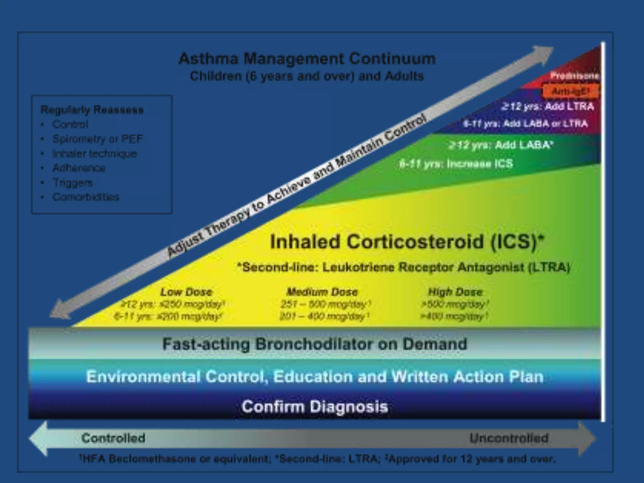 Deborah-Hellyer-Asthma.pptx