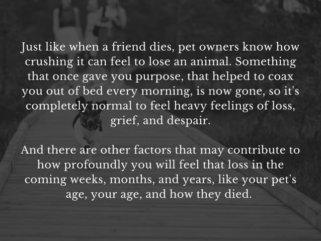 Losing Your Best Friend: How To Cope With The Loss Of A Pet | PPT
