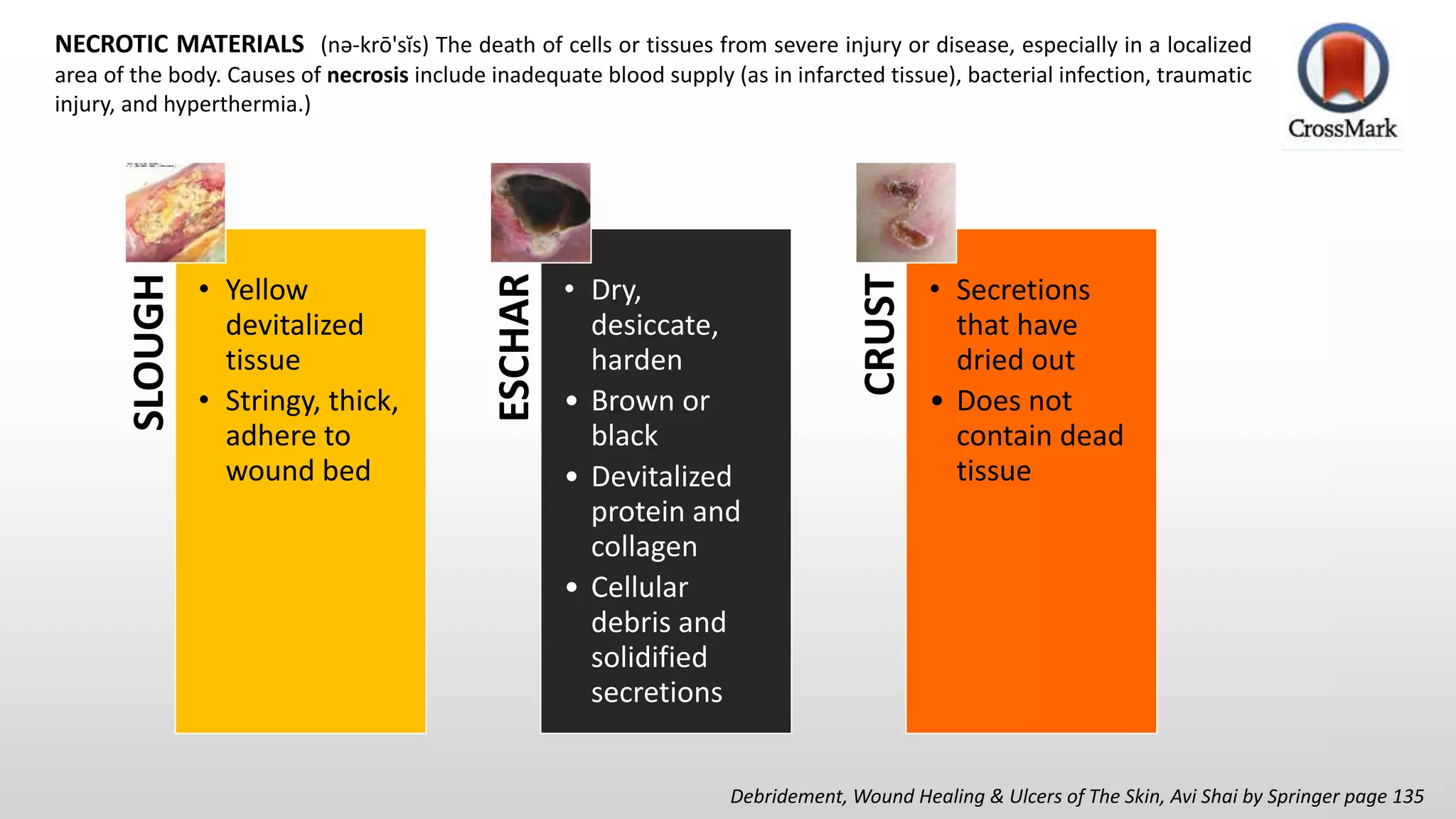 Role of Wound Debridement | PPTX