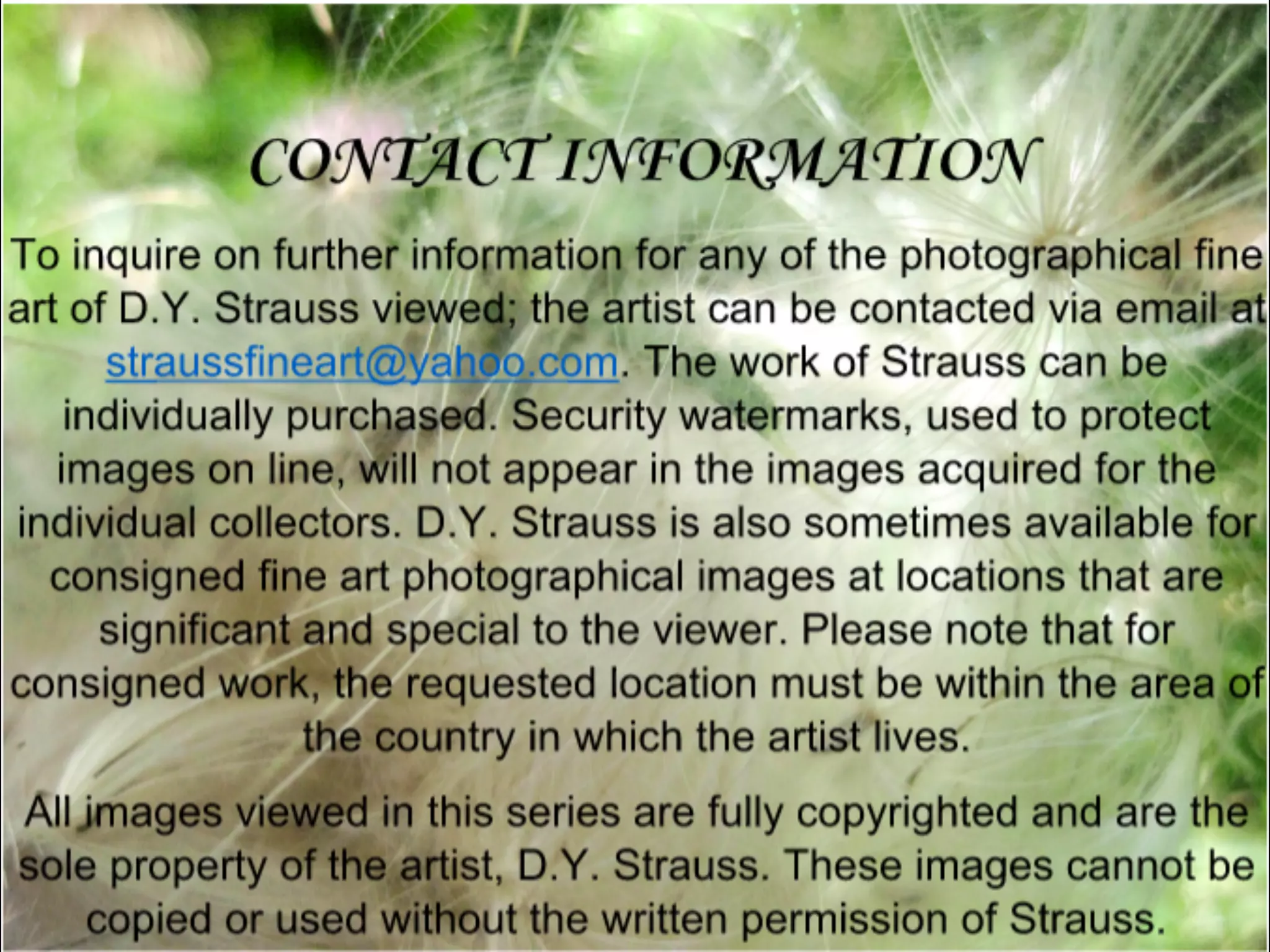 Deborah Strauss: Fine Art Nature Photography | PDF