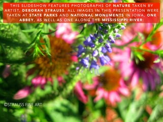 Deborah Strauss: Fine Art Nature Photography | PDF