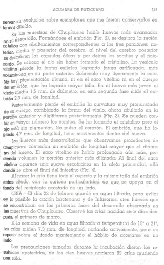 De buen acumara | PDF