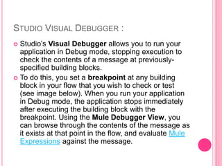Debugging mule | PPT