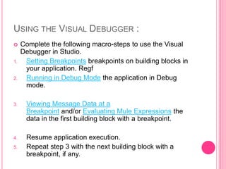 Debugging mule | PPT