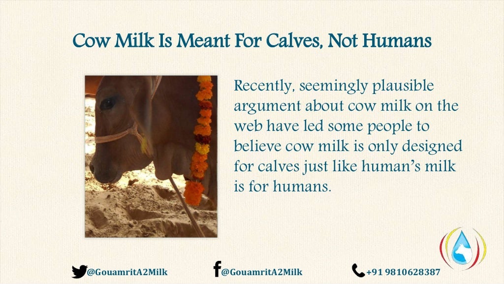 Debunking The Myth Why You Should Not Stop Drinking Cow Milk