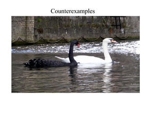 Dec.10 Counterexamples | PDF