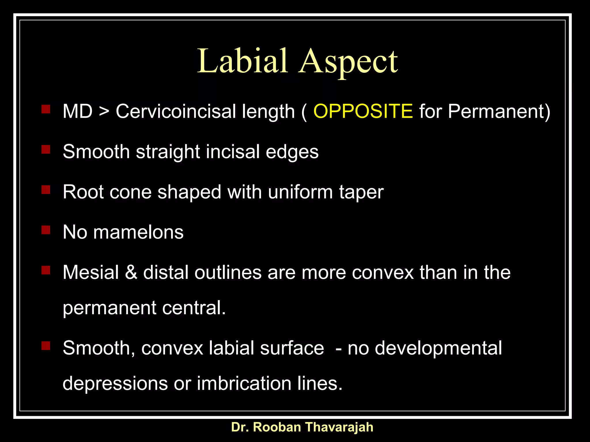 Morphology of Human Deciduous Maxillary Central Incisor Tooth | PPT