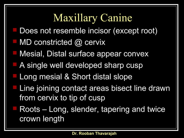 Morphology of Human Deciduous Maxillary Canine Tooth | PPT | Dental ...