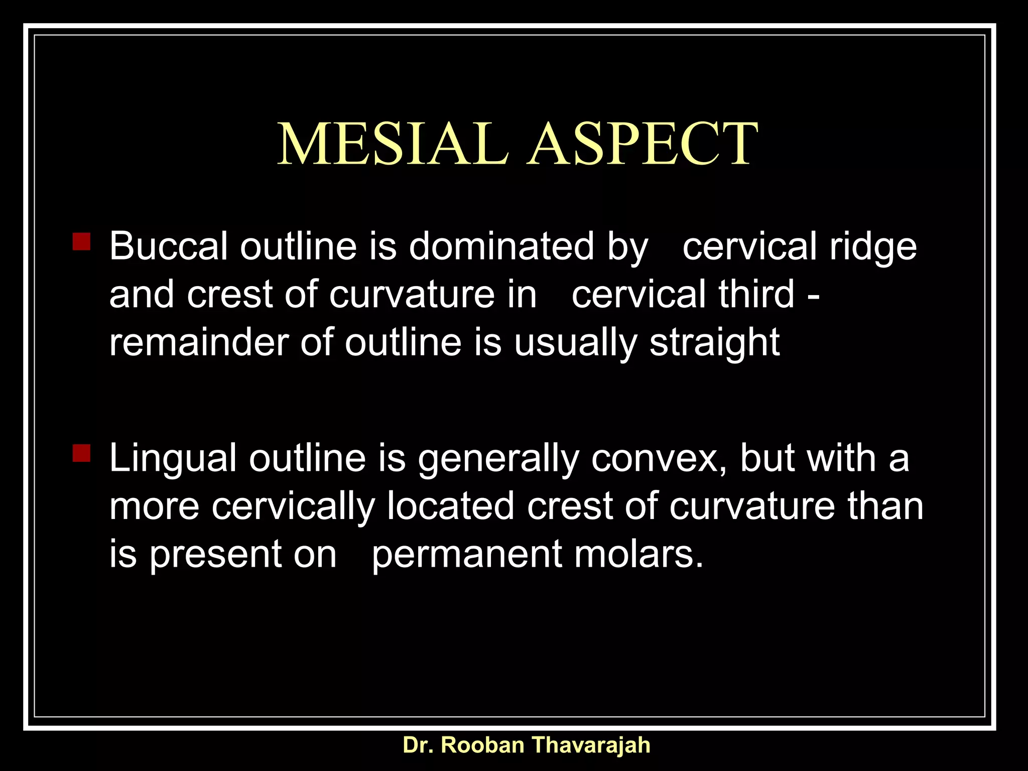 Morphology of Human Deciduous Maxillary Molar Tooth | PPT