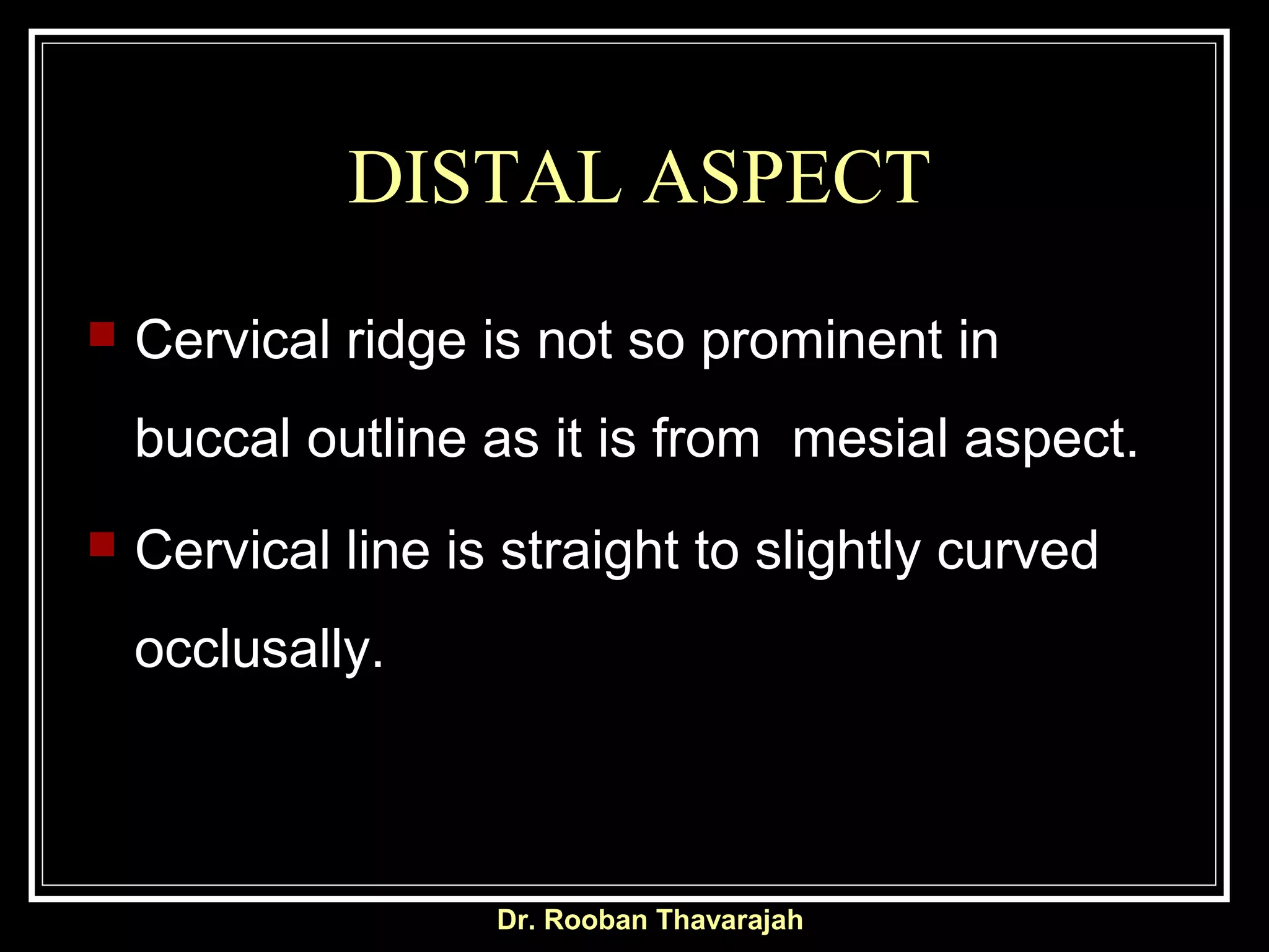 Morphology of Human Deciduous Maxillary Molar Tooth | PPT