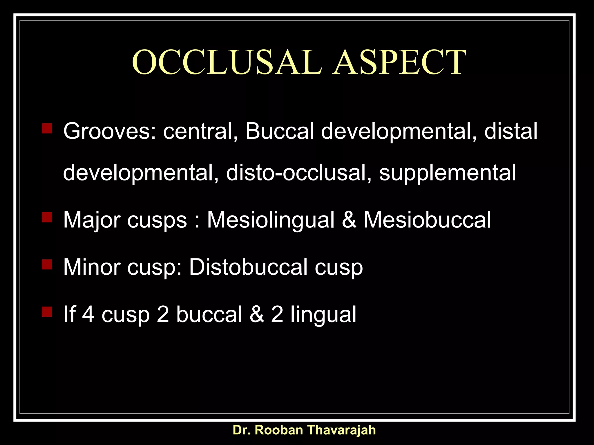 Morphology of Human Deciduous Maxillary Molar Tooth | PPT