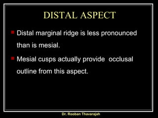 Morphology of Human Deciduous Maxillary Molar Tooth | PPT | Dental ...