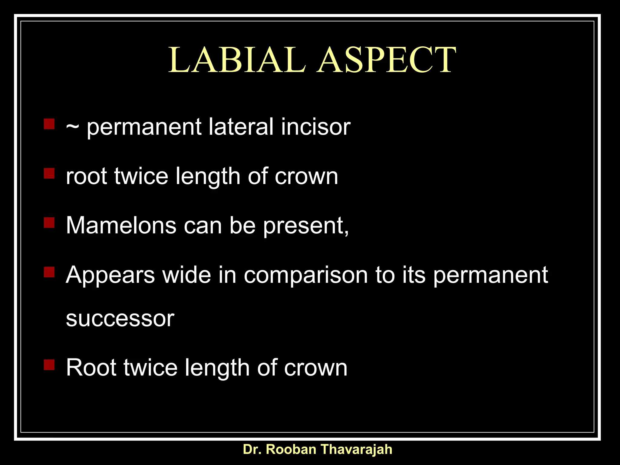 Morphology of Human Deciduous Mandibular Central Incisor Tooth | PPT