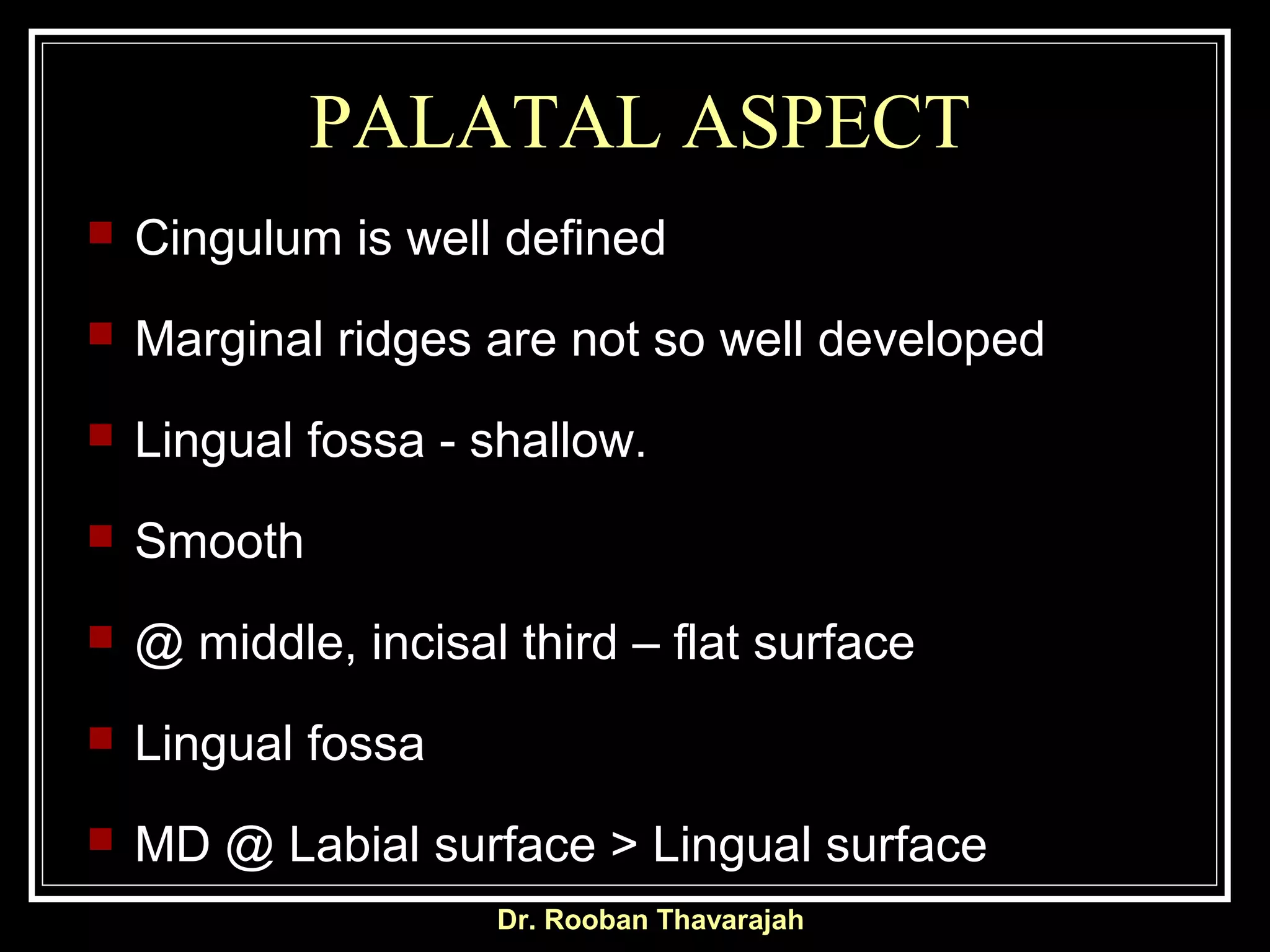 Morphology of Human Deciduous Mandibular Central Incisor Tooth | PPT