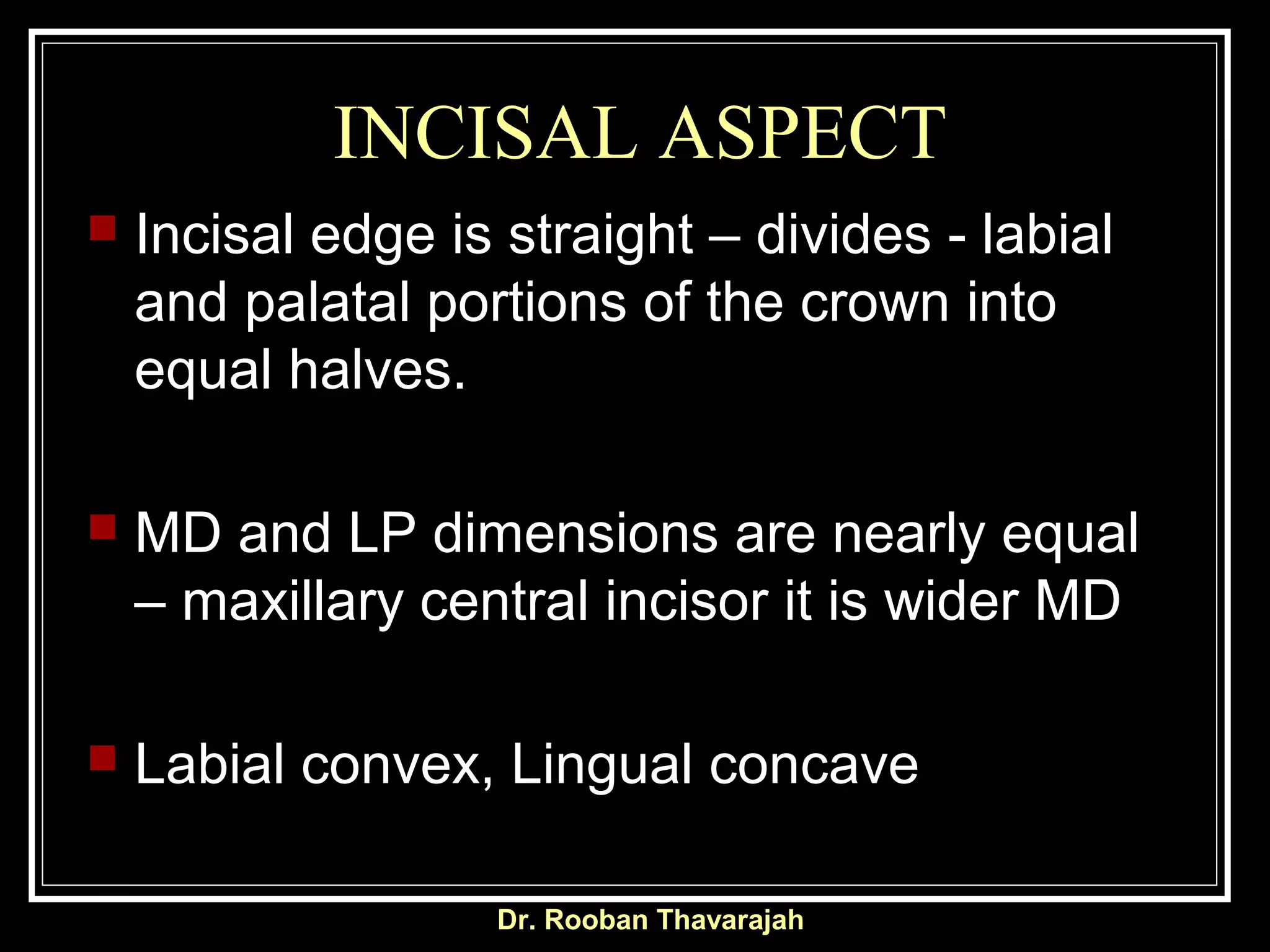 Morphology of Human Deciduous Mandibular Central Incisor Tooth | PPT