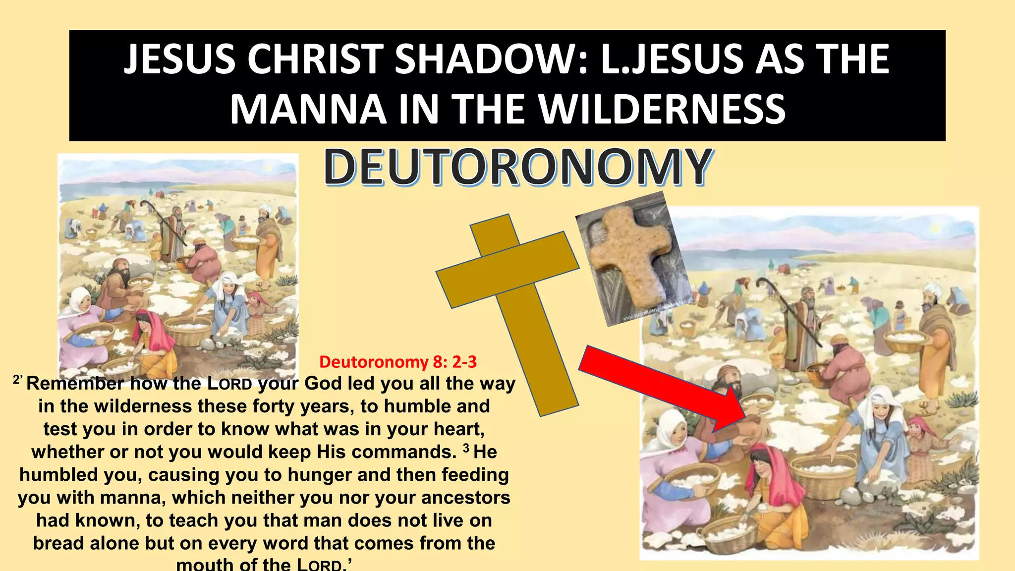 Dec 17 _JESUS FORESHADOWED IN THE BOOKS OF THE BIBLE | PPT