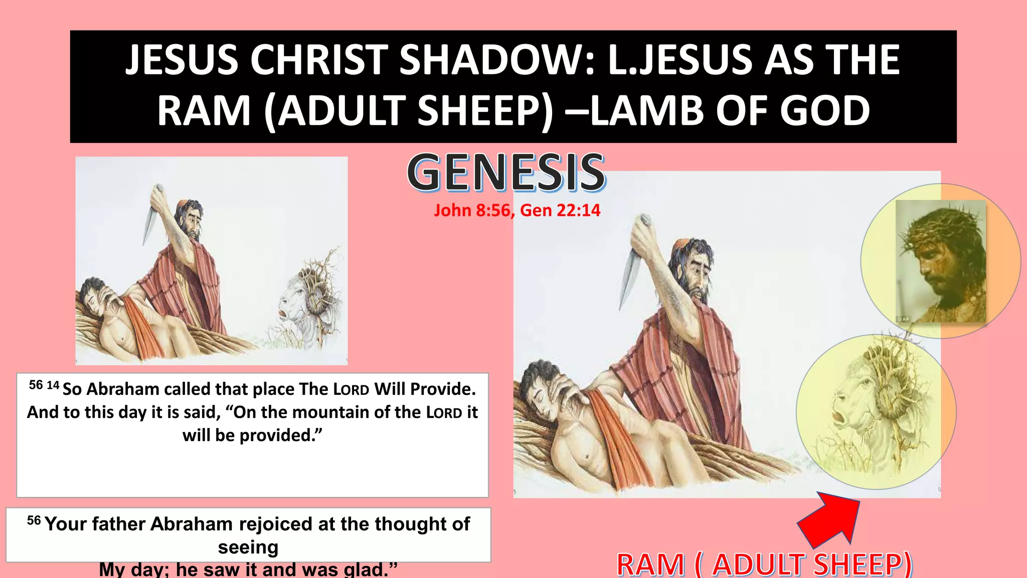 Dec 17 _JESUS FORESHADOWED IN THE BOOKS OF THE BIBLE | PPT