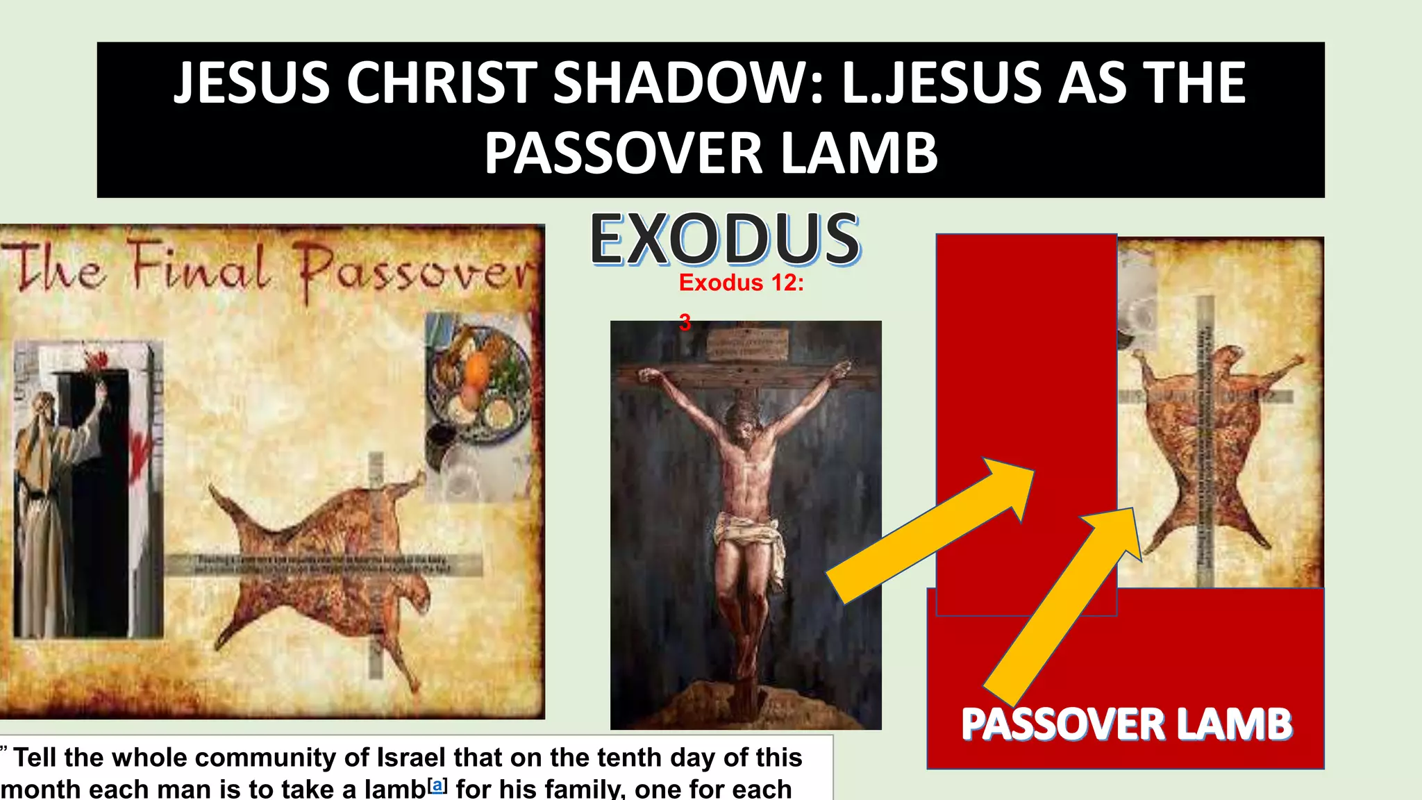Dec 17 _JESUS FORESHADOWED IN THE BOOKS OF THE BIBLE | PPT
