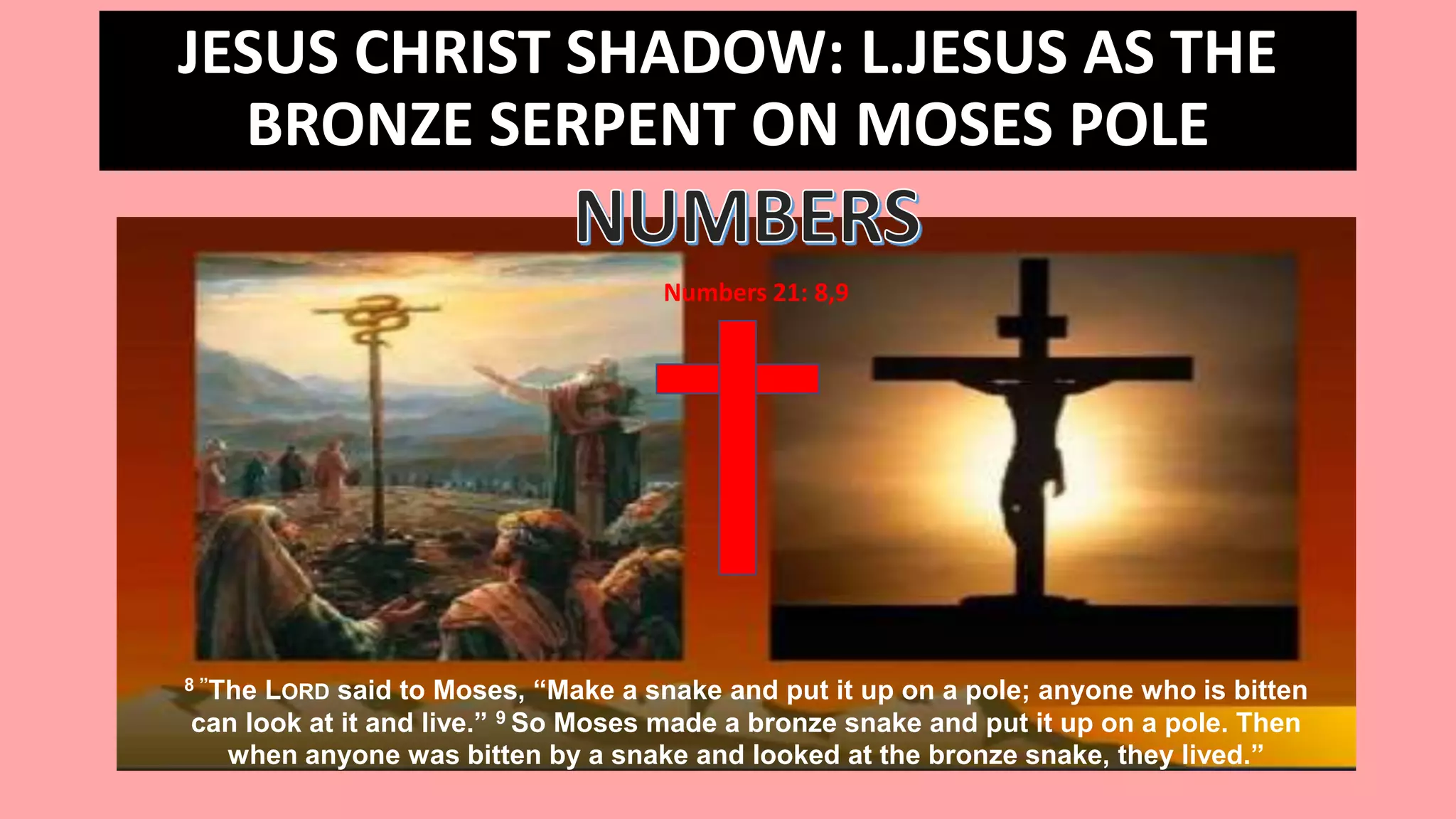 Dec 17 _JESUS FORESHADOWED IN THE BOOKS OF THE BIBLE | PPT