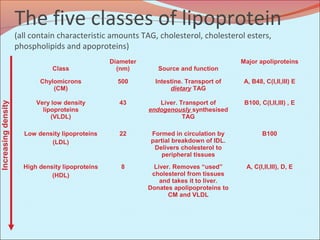 LIPOPROTEINS MUHAMMAD MUSTANSAR FJMC LAHORE | PPT | Heart and ...