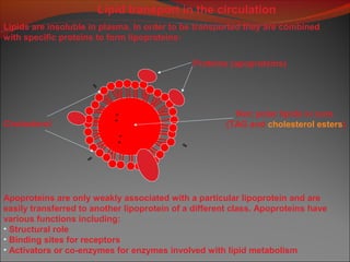 LIPOPROTEINS MUHAMMAD MUSTANSAR FJMC LAHORE | PPT