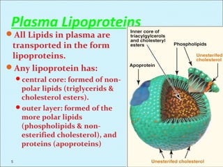 LIPOPROTEINS MUHAMMAD MUSTANSAR FJMC LAHORE | PPT