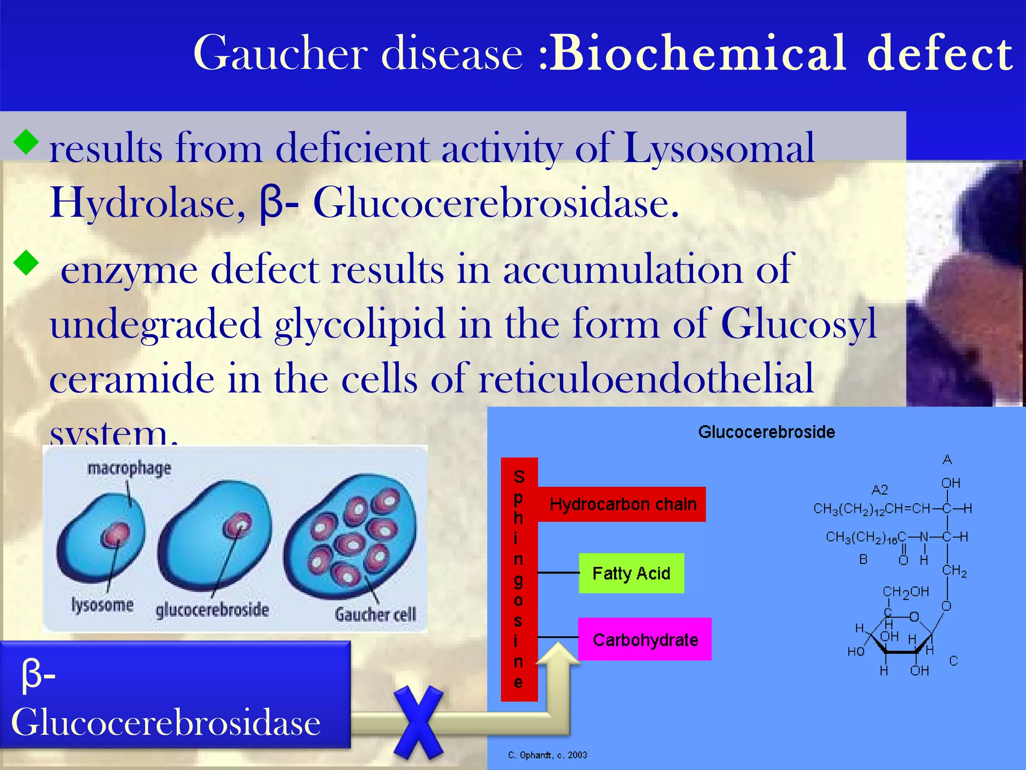 LIPID STORAGE DISEASES MUHAMMAD MUSTANSAR FJMC LAHORE | PPT | Brain and ...
