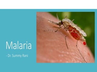 Malaria summary | PPT