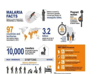 Malaria summary | PPT