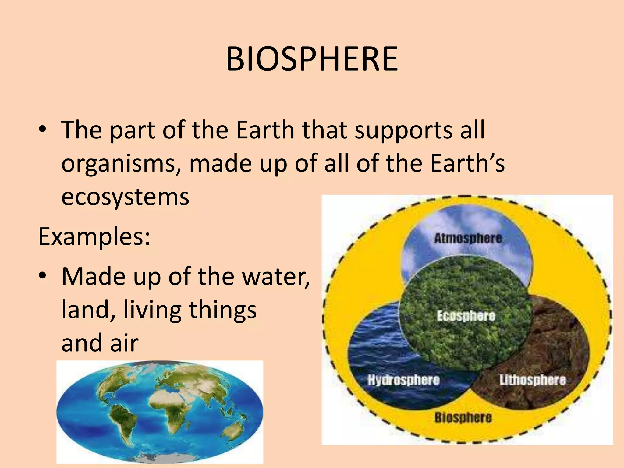 Ecology: Levels of Organization | PPTX