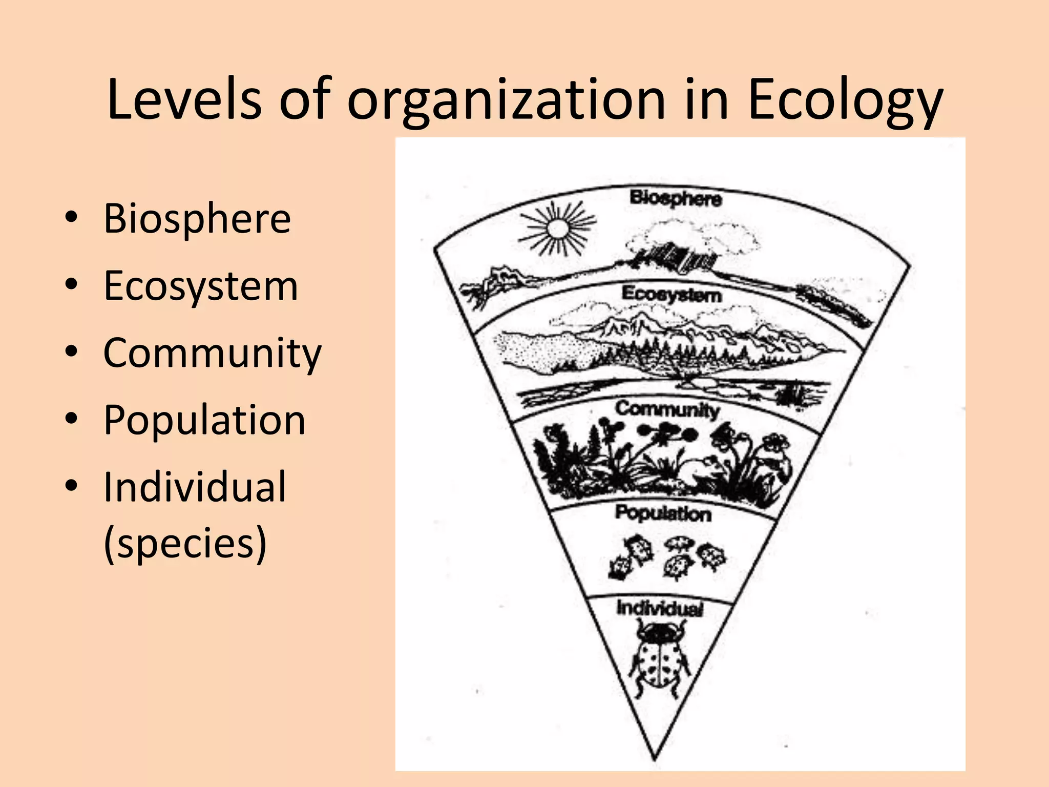 Ecology: Levels of Organization | PPTX