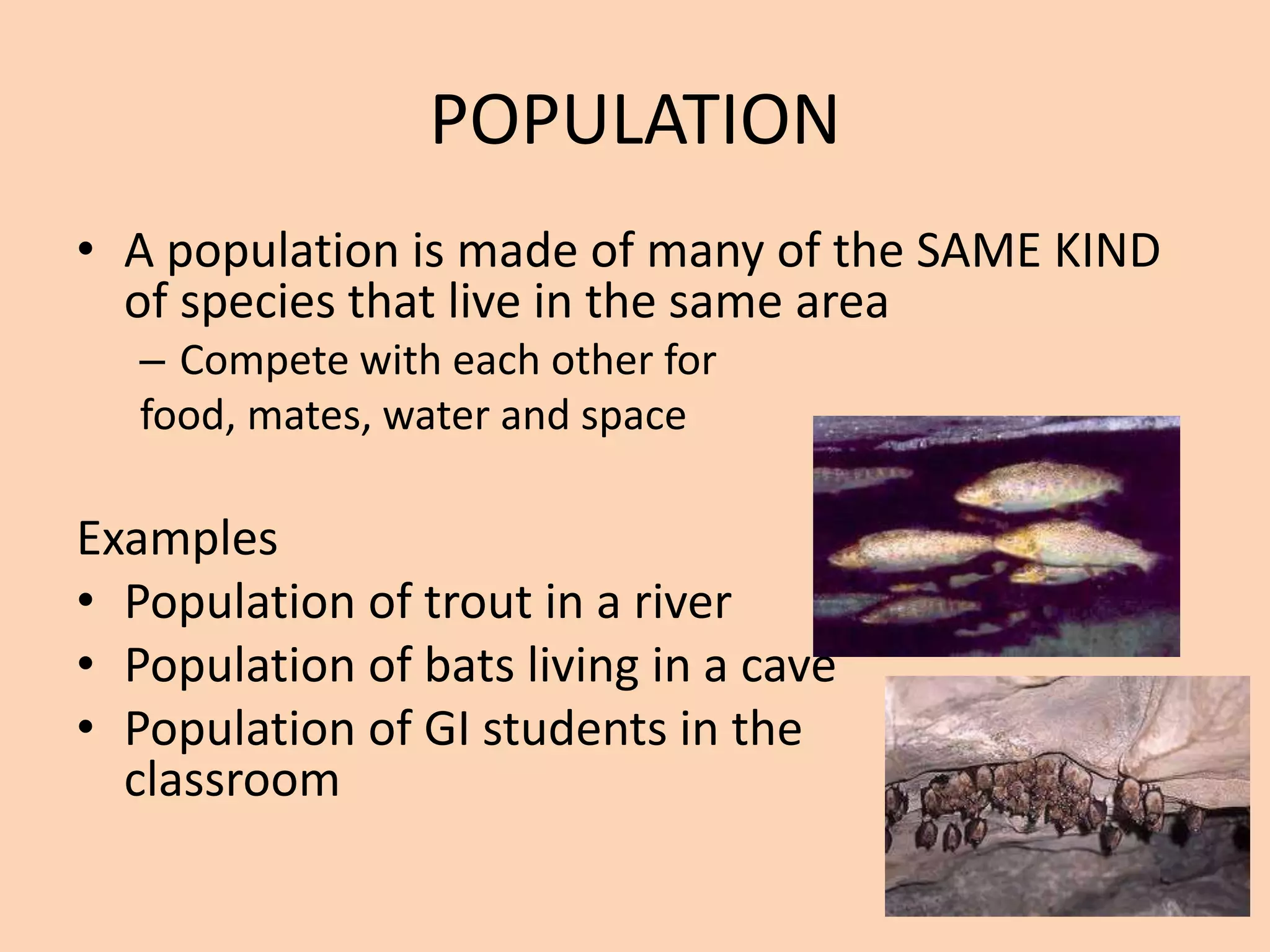 Ecology: Levels of Organization | PPTX