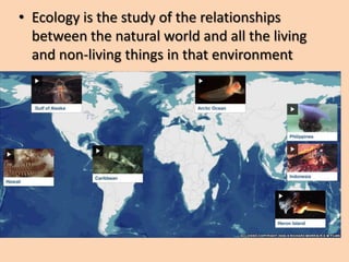 Ecology: Levels of Organization | PPTX
