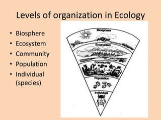 Ecology Levels Of Organization