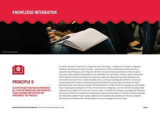 DECADE ON RESTORATION DECADE UNO ONU ODS | PDF