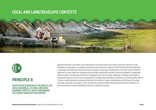 DECADE ON RESTORATION DECADE UNO ONU ODS | PDF