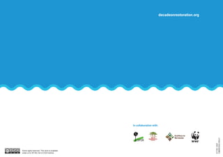 DECADE ON RESTORATION DECADE UNO ONU ODS | PDF