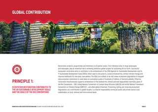 DECADE ON RESTORATION DECADE UNO ONU ODS | PDF