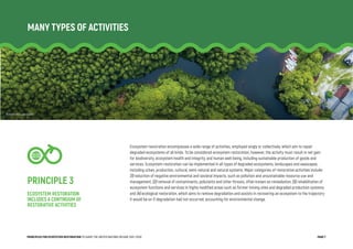 DECADE ON RESTORATION DECADE UNO ONU ODS | PDF