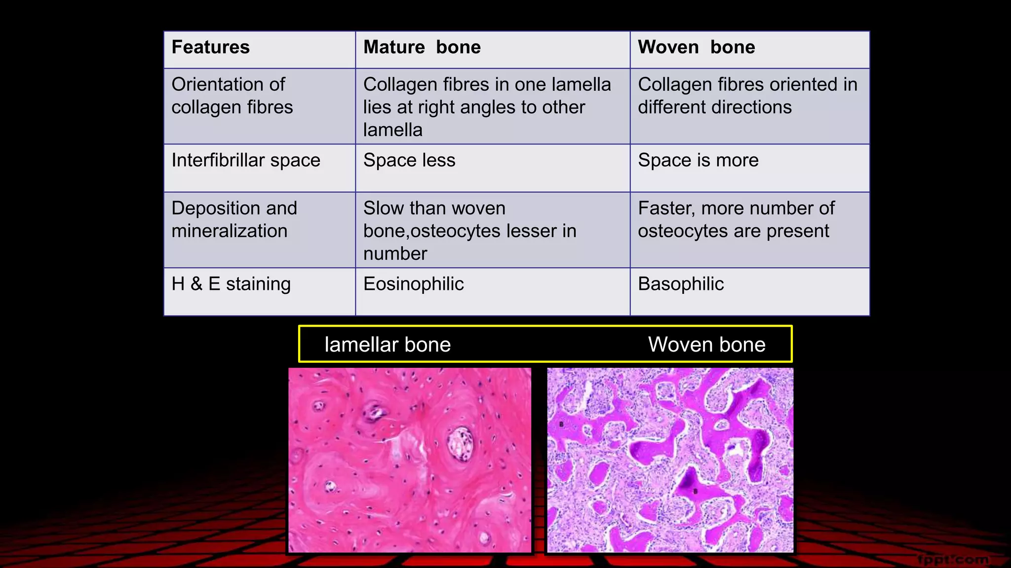 Decalcification of bone and tooth | PPT