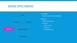 Decalcification.pptx