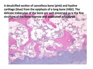 DECALCIFICATION what it is and how to cause it.pptx