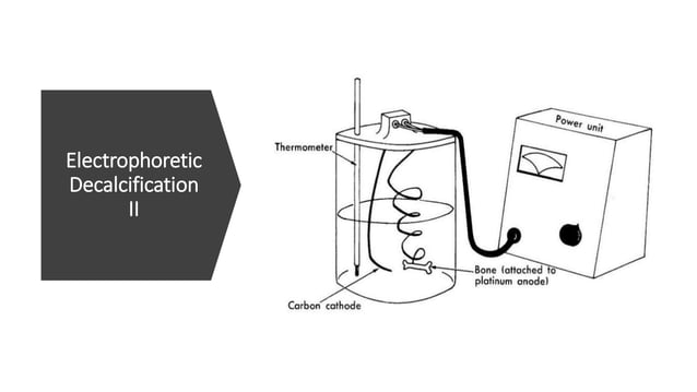 Decalcification in Histopathology.pptx