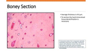 Decalcification in Histopathology.pptx